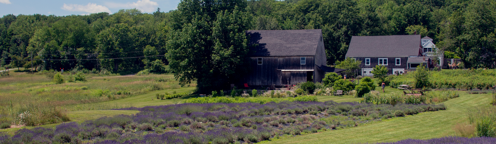 Visit the Farm – Glendarragh Farm Lavender